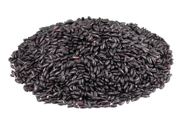 Black Rice - PriceListo
