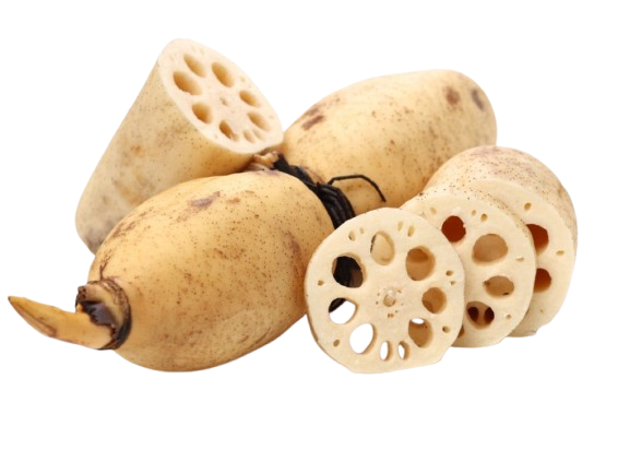 Lotus Root - PriceListo